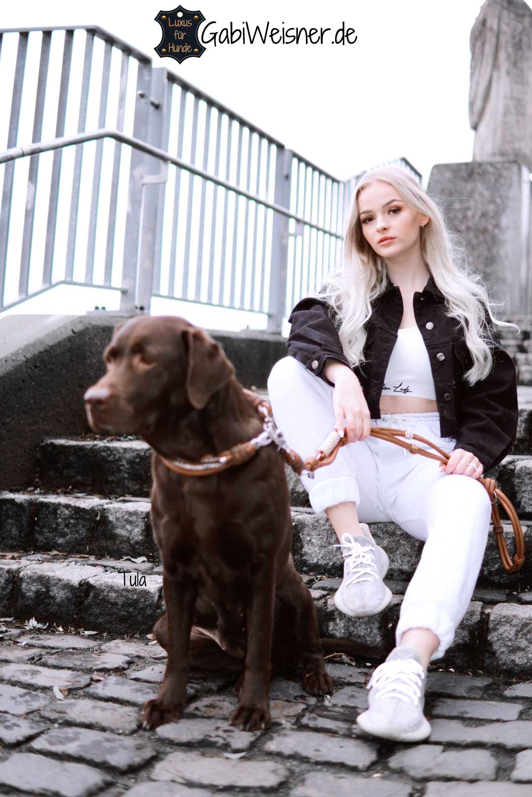 "Luxus für Hunde" DER BLOG - Hundehalsband Design seit 2007 made by ...